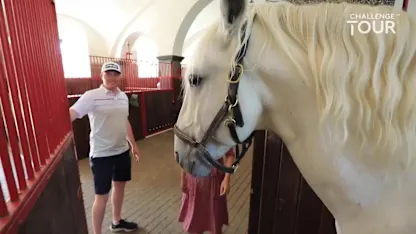 Robin Dawson - Straight from the horse's mouth - Videos - DP World Tour