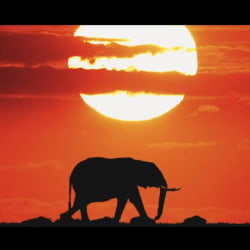 DP World Tour returns to Muthaiga Golf Club for Magical Kenya Open ...