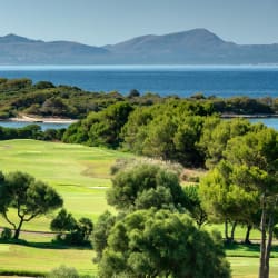 Spectator Information - Articles - HotelPlanner Tour