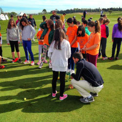 Bogey Bear showing his cubs the way in Madrid - Articles - HotelPlanner ...