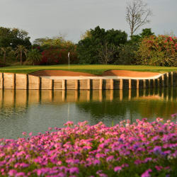 DP World Tour FAST channel to provide coverage of Hero Indian Open to ...